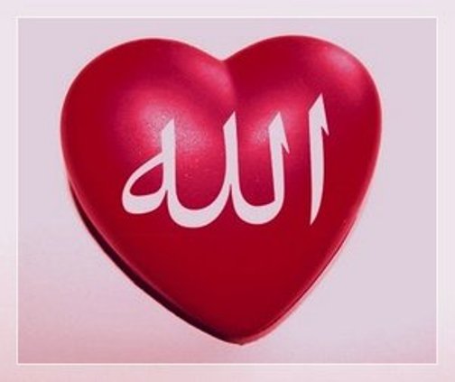 meraih cinta allah dengan menteladani rasul-nya