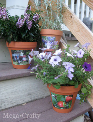 Mega•Crafty: Photo Flower Pots