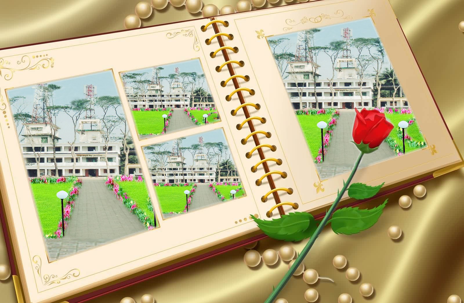 Photo Gallery - Modina computer