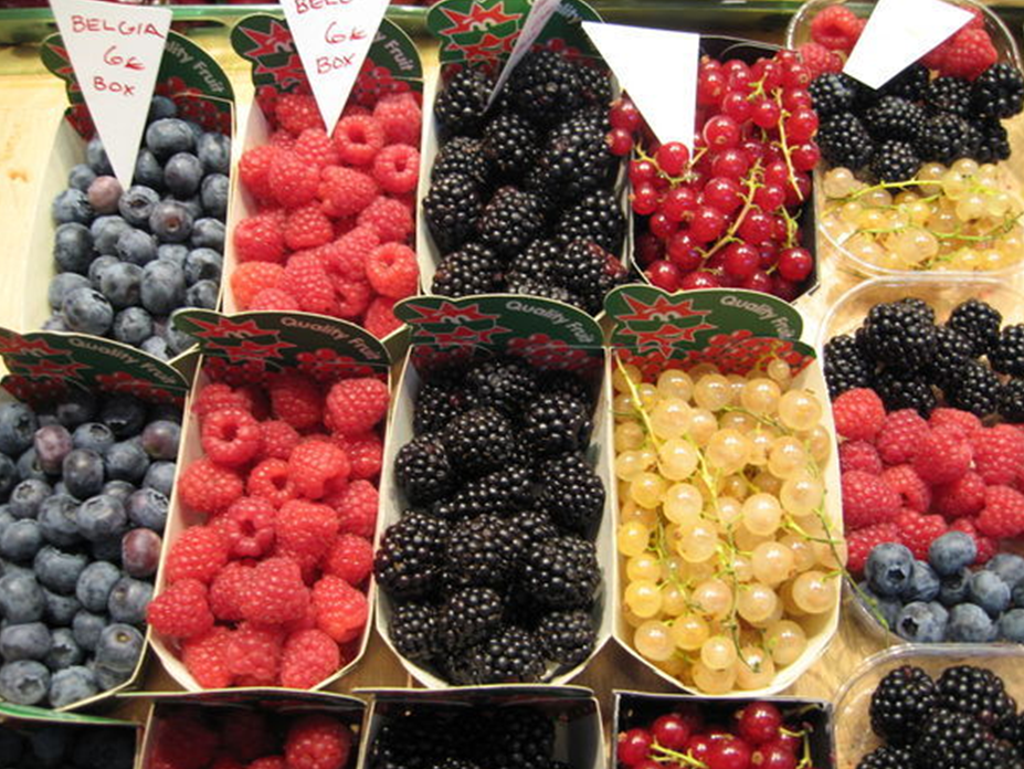 The Healthy Hoff: July 2012