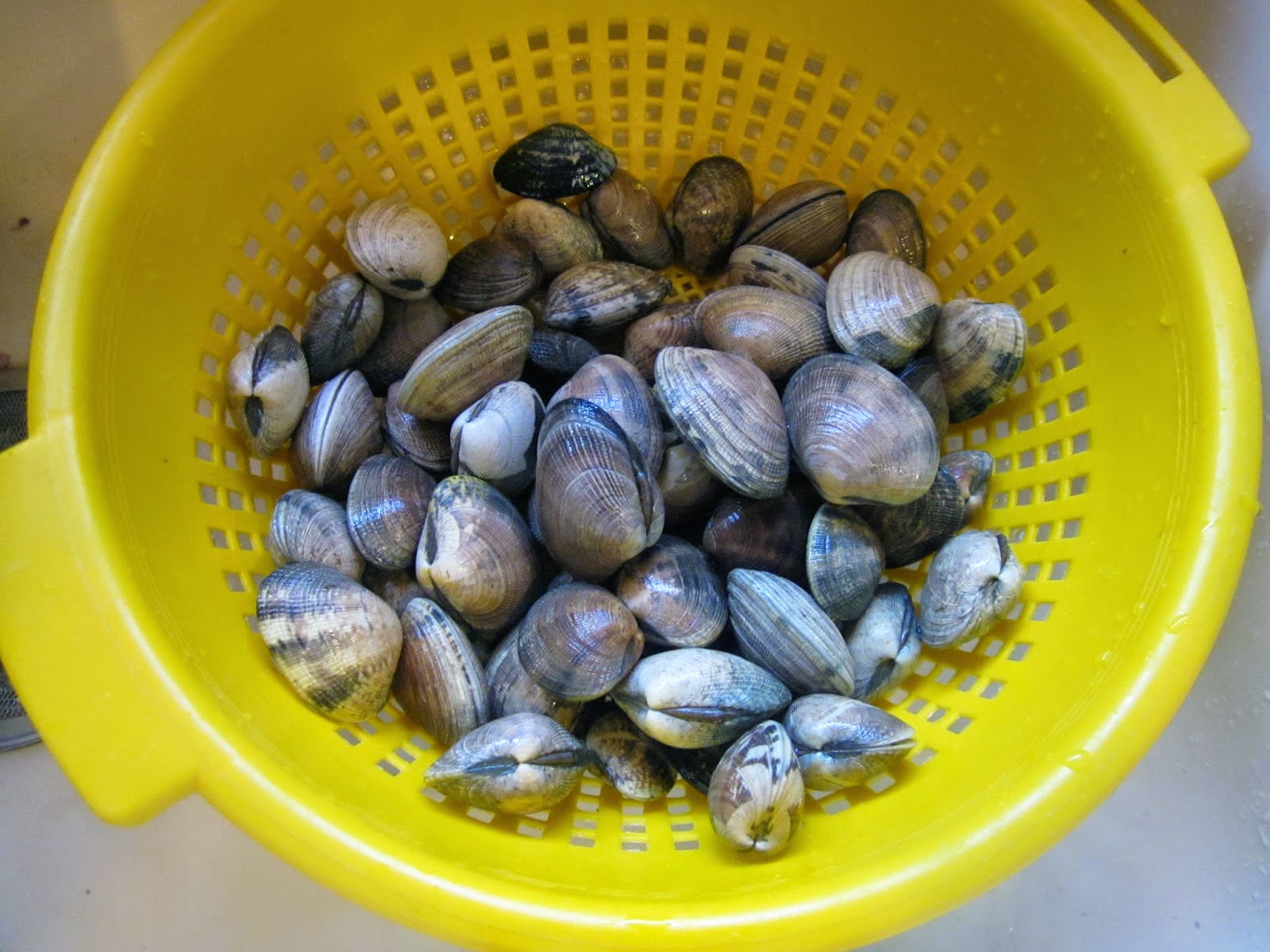 Custard and Clues: Mario’s Linguine With Clam Sauce