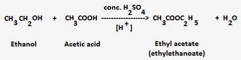 SCIENCE AND TECHNOLOGY: Chapter 11 : ORGANIC COMPOUNDS