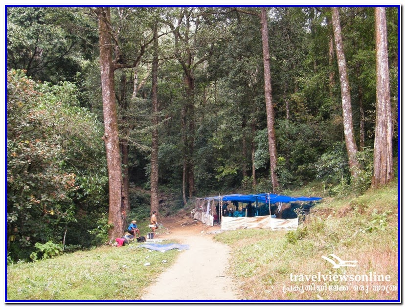 പ്രകൃതിയിലേക്ക് ഒരു യാത്ര (a travel towards NATURE): PULLUMEDU a unique ...