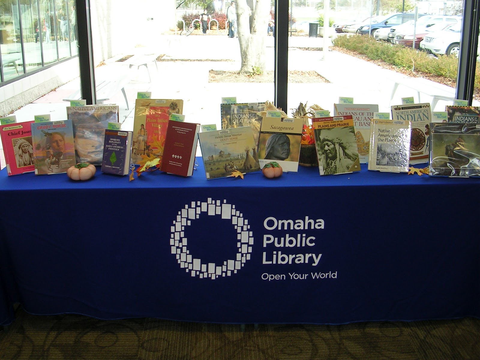 Public Library Displays