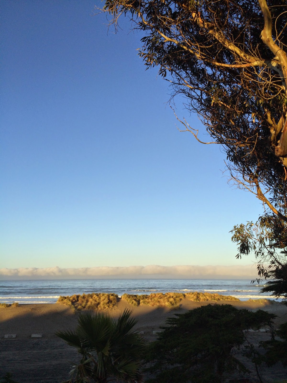 GOLDEN DREAMLAND: Favorite Beach: Dillon Beach
