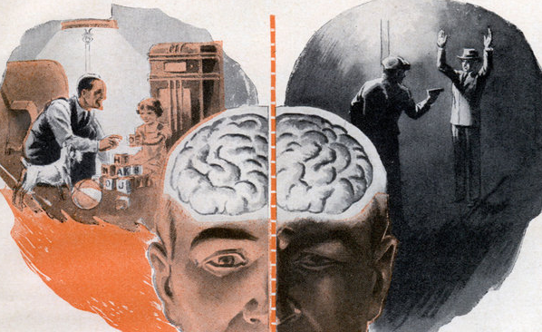 The Neurocritic: A few more words about good brains and bad brains