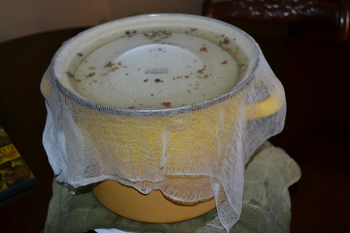 Homemade Claussen Style Pickles