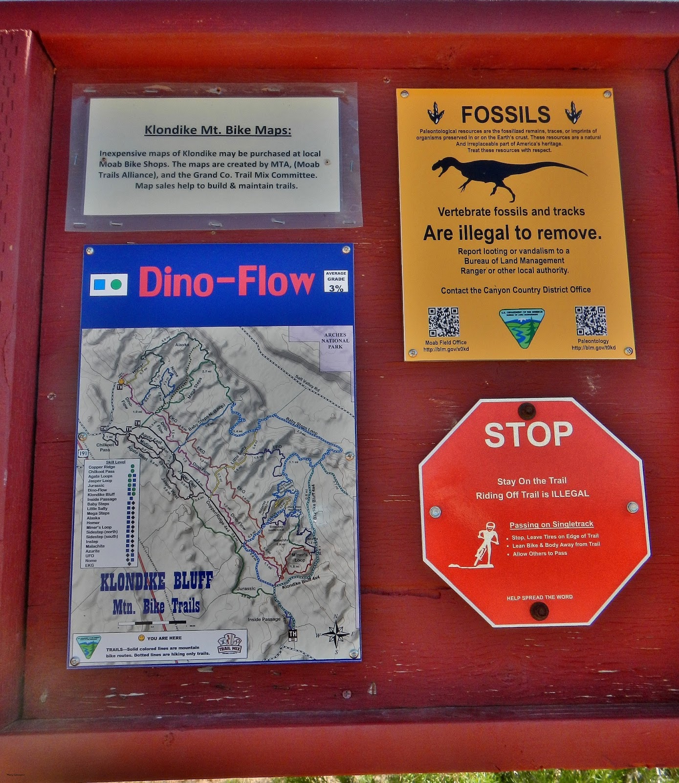 The Southwest Through Wide Brown Eyes: Copper Ridge Dinosaur Trackways ...