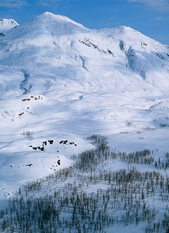 @LittleBearProd Blog: Cont, NO PEBBLE MINE, 201-300: Pictures from ...