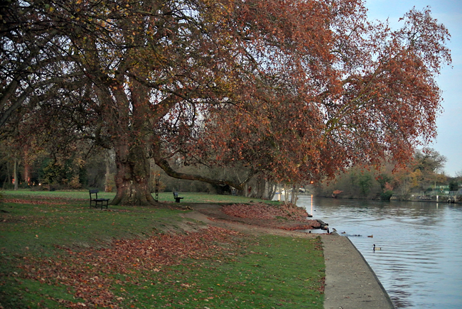 A British Island Adventure: Swan's Rest Island and Rivermead Island