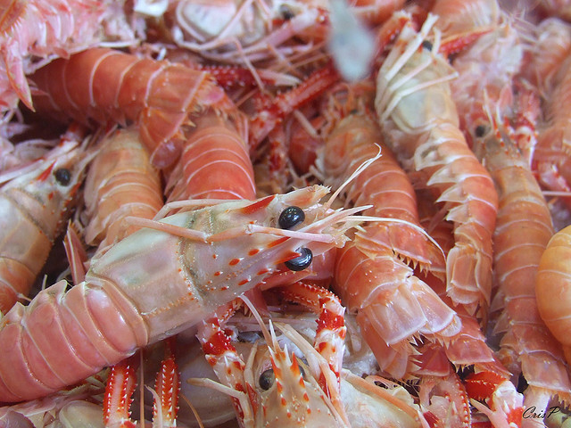 BLOG ALQUIMIA DA COZINHA - CHEF. RICARDO GALACHE: PEIXES, CRUSTÁCEOS E ...