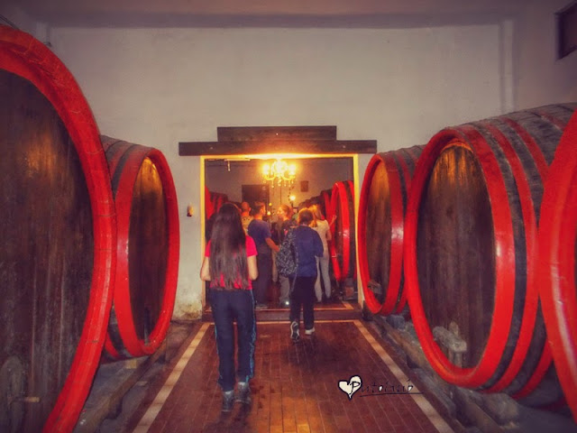 Vinarija Malča - Putoljub