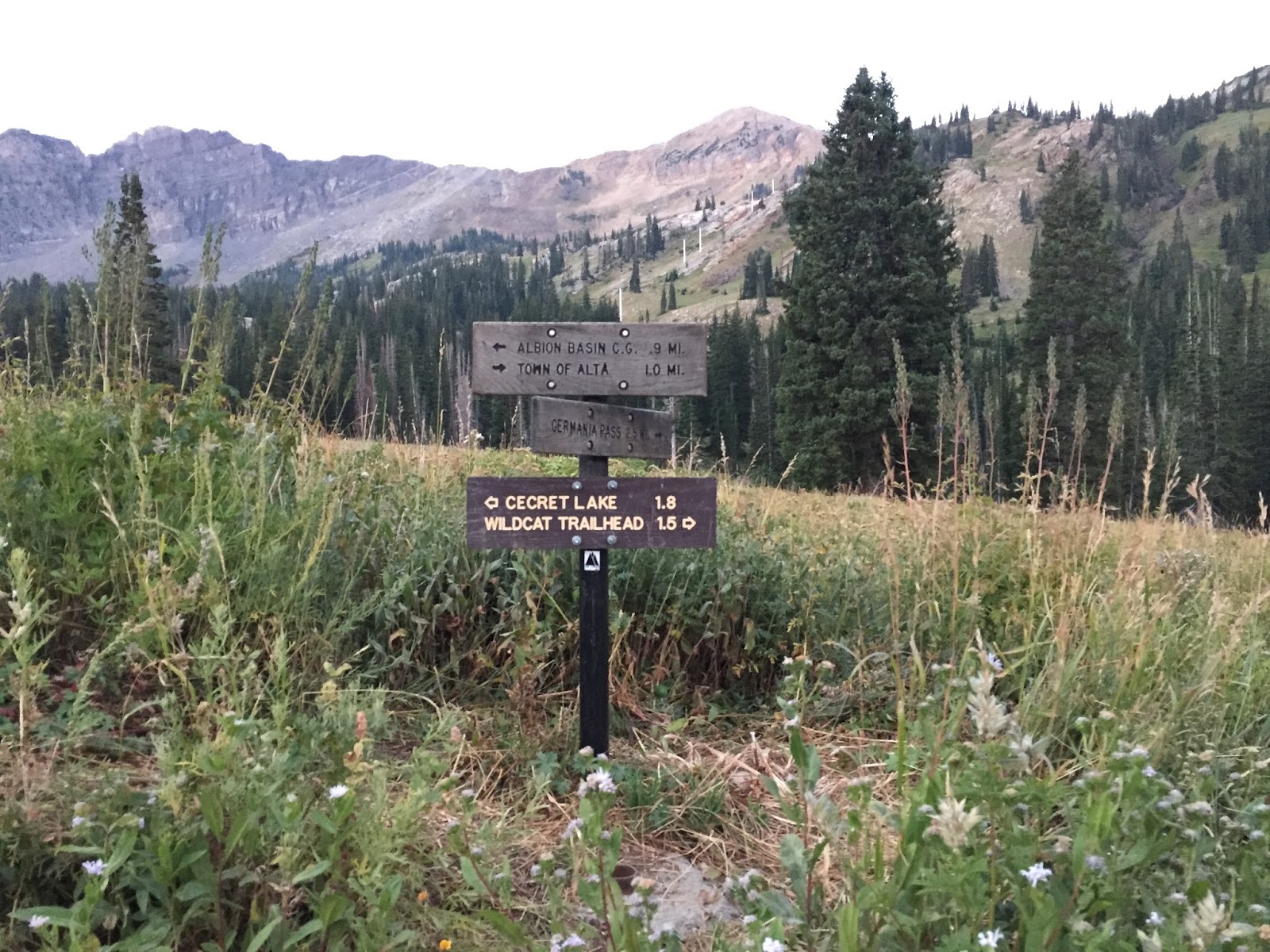 Jessindy's Hiking Adventures: Albion Basin Trail