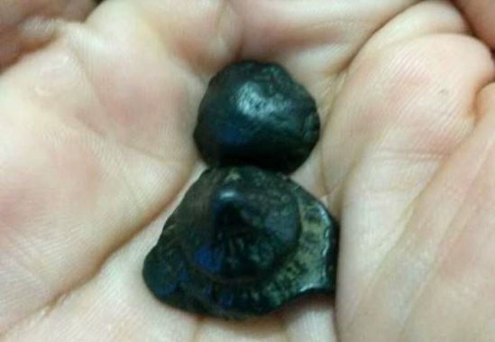 Asignan 8 mil hectáreas a minera Oro Azul para explotar coltán al oeste ...