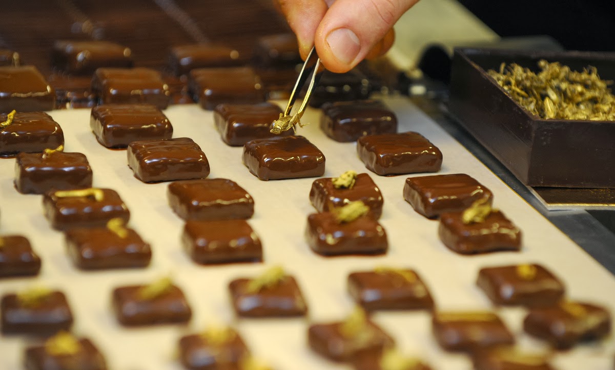 Insects Flavoured Chocolate Is Becoming More Popular