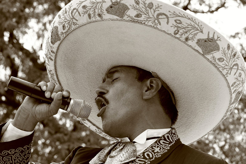 CEREBRAL BOINKFEST: Mariachi, a Folk Music of Mexico