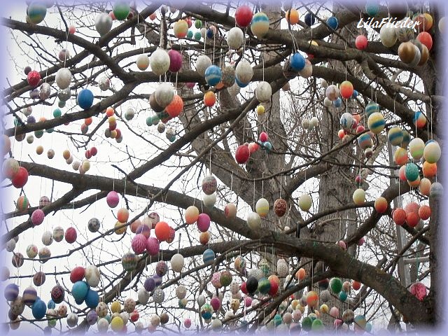 Lila-Flieder-Garten: Ostereierbaum in Saalfeld - Die Tradition lebt weiter!
