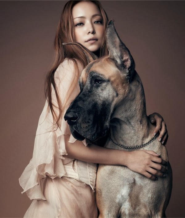 Namie Amuro Love Story namie-amuro-love-story