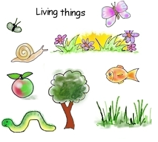 #13 Summary of Classification of Living things | Biology Notes for ...