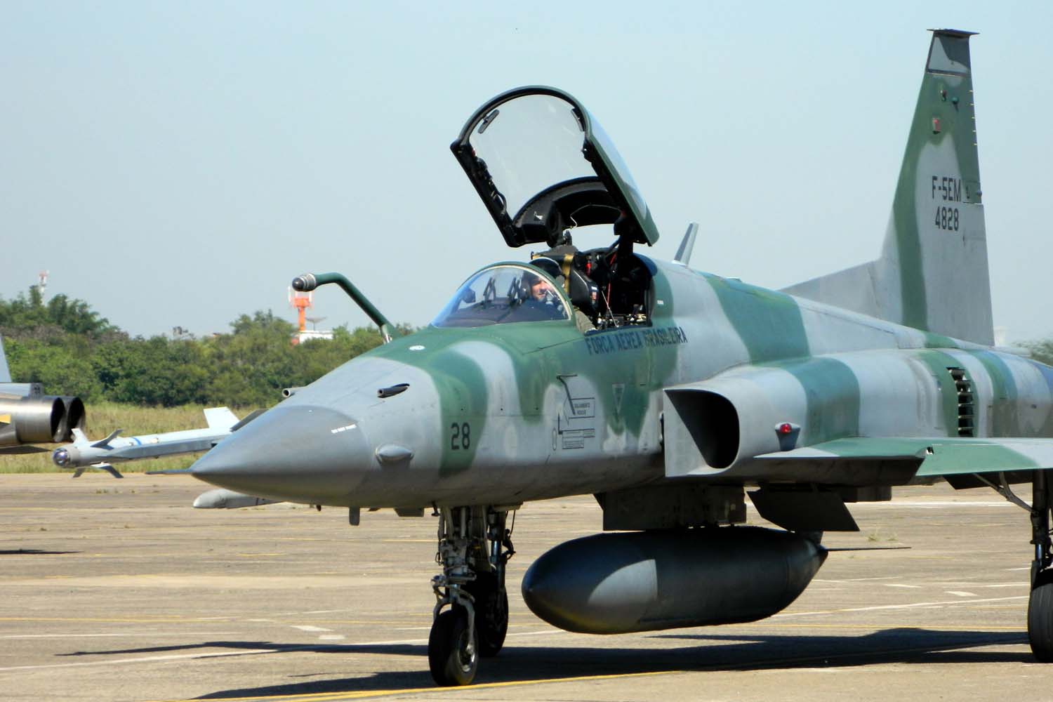 SkyHawk: F-5 Tiger da FAB