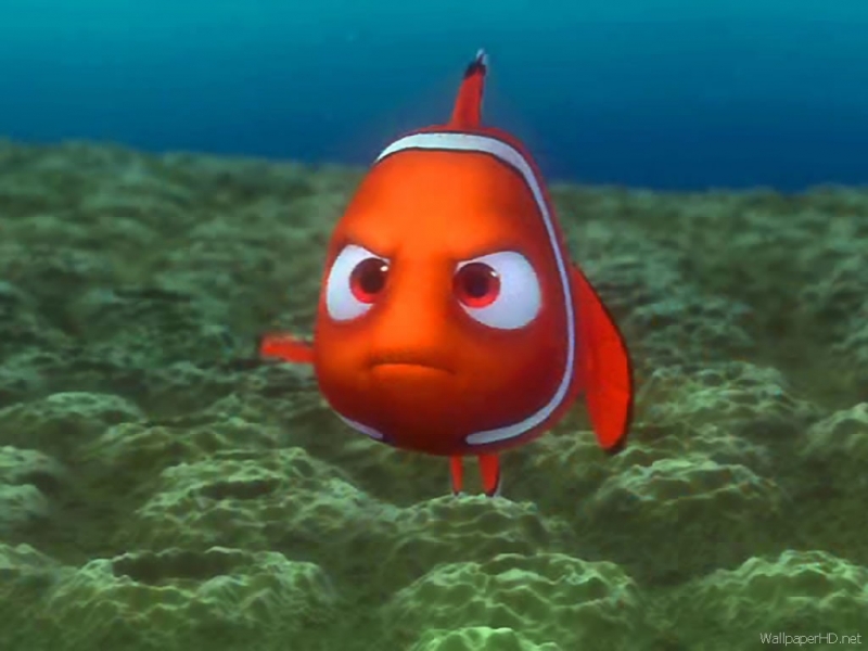 IMAGENSNET: NEMO
