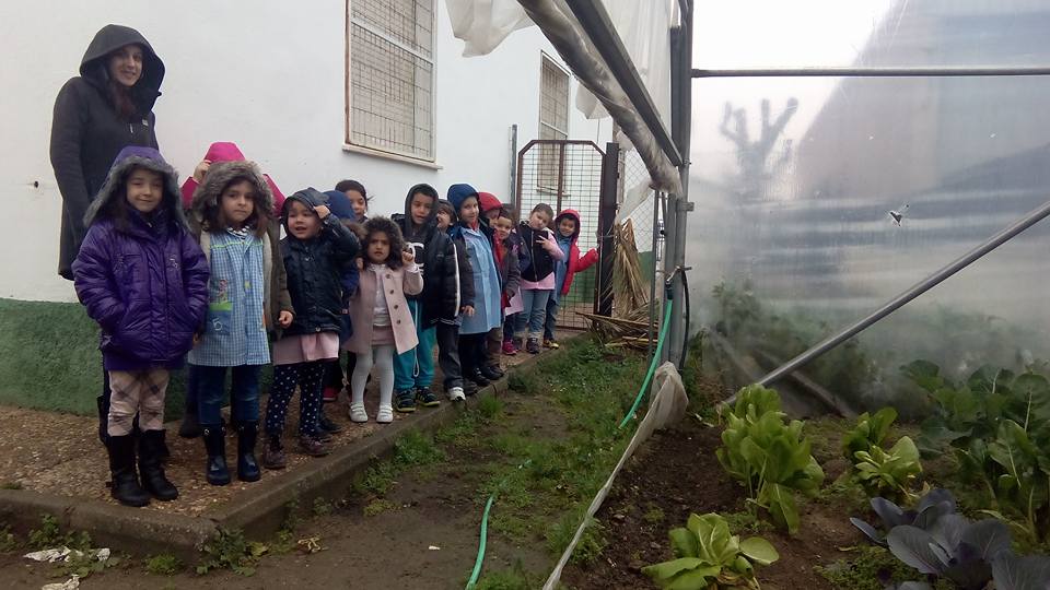 English School Science In Nursery Education English School Science In Nursery Education