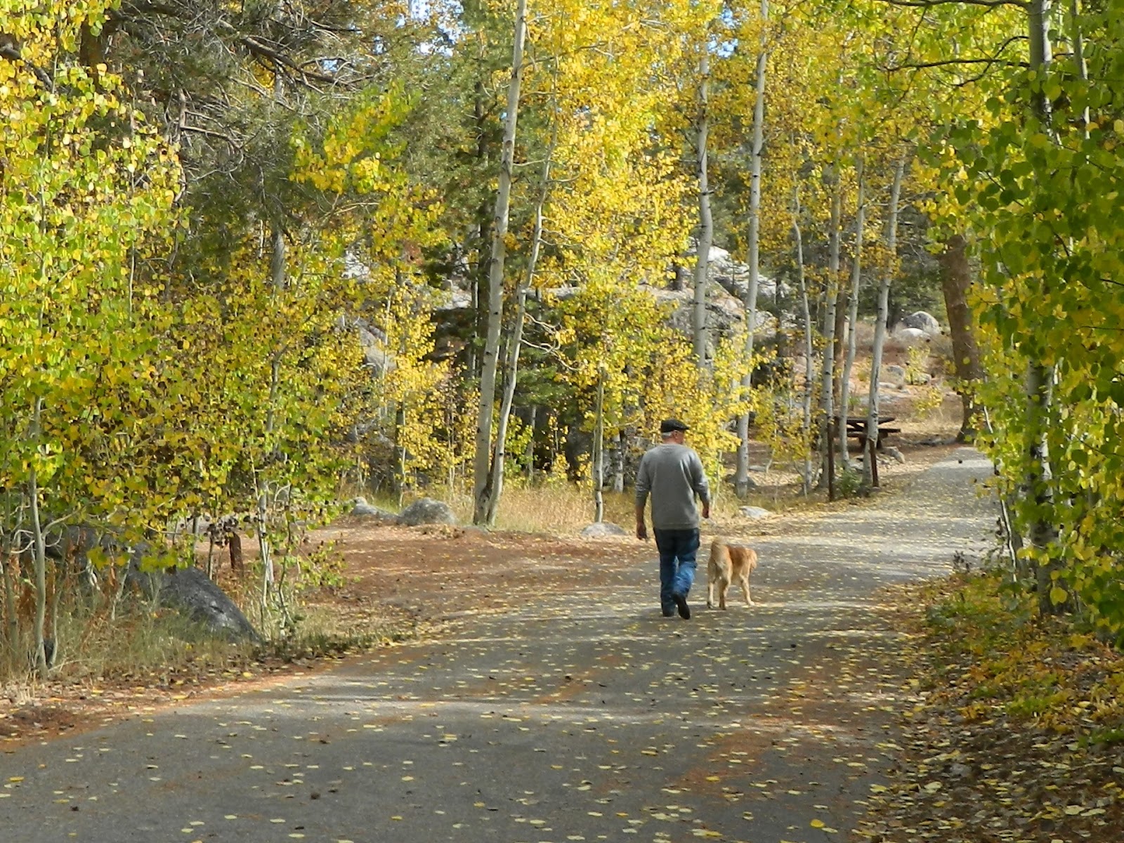 Sierra Nevada Camping: Kit Carson Campground (Reservations Accepted)