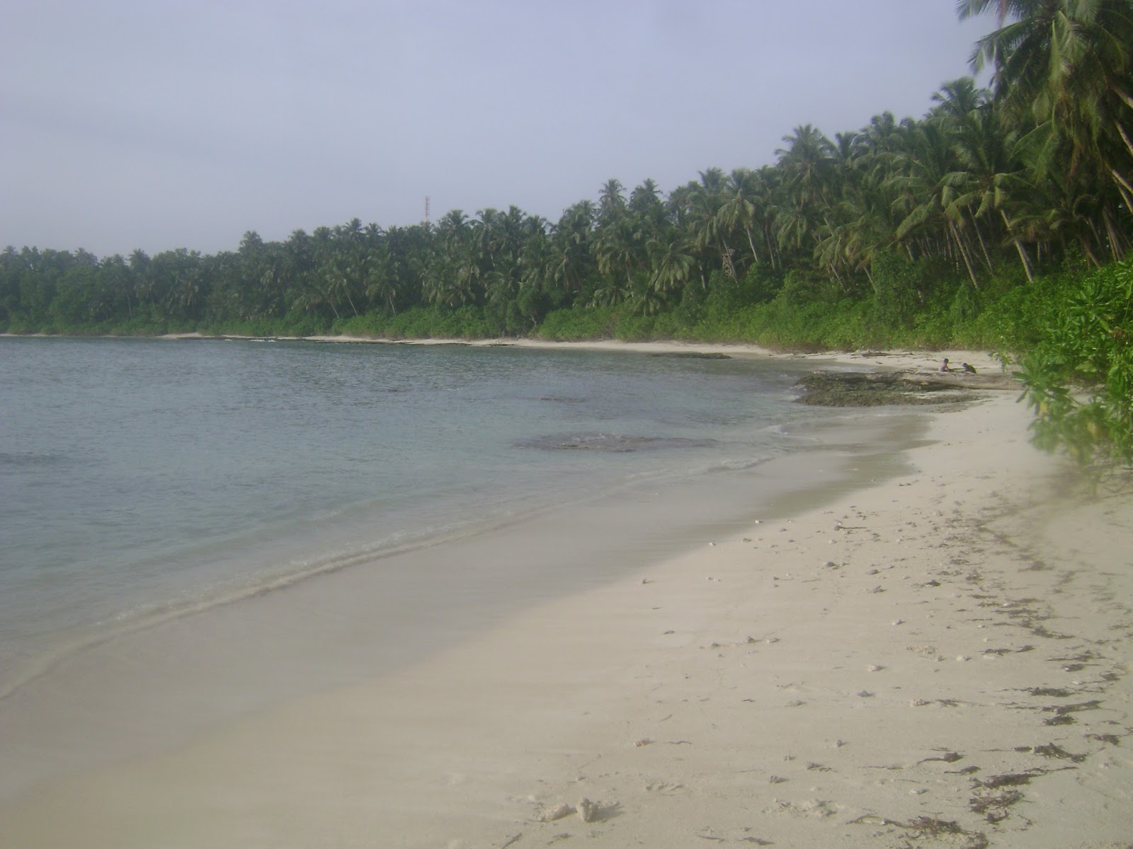 Pulau Simuk
