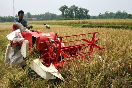 Mesin Pemanen Padi Mini Combine | InforMesin