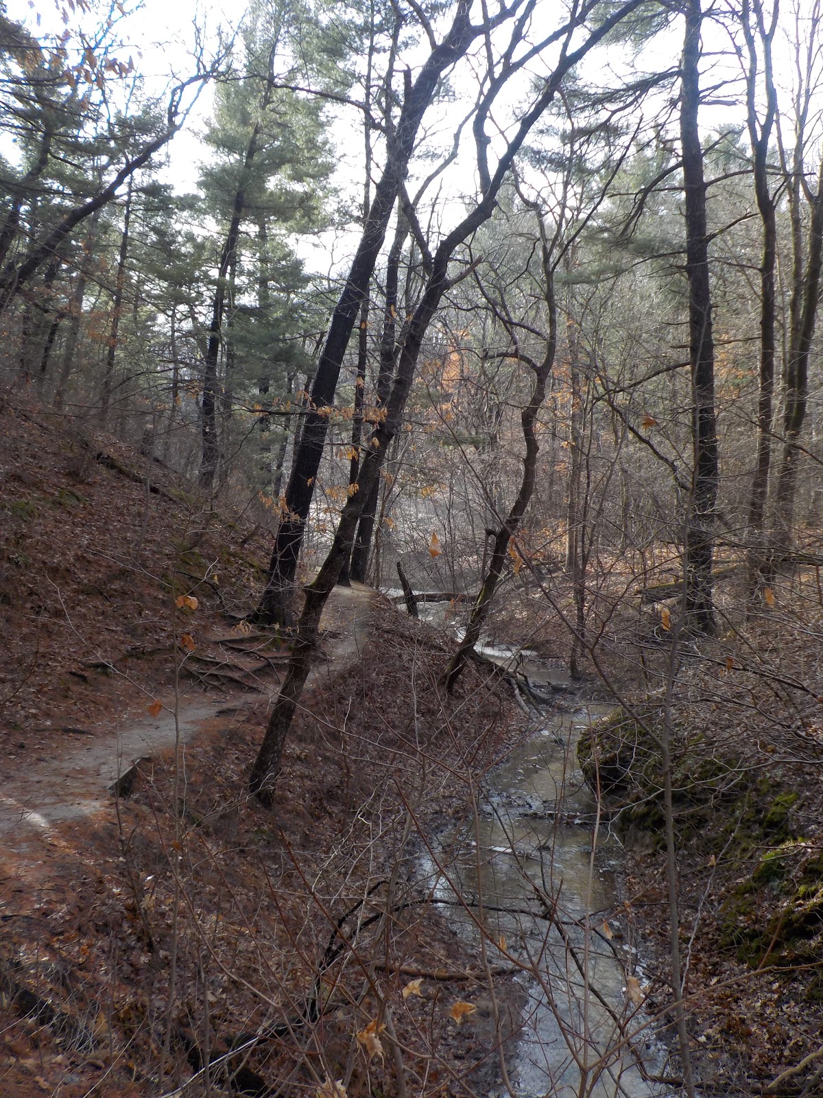 Hike Starved Rock: St. Louis, Kickapoo, Sac and Aurora Canyons March 14 ...