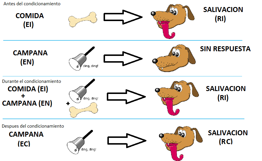 Aprendizaje: Condicionamiento Clásico