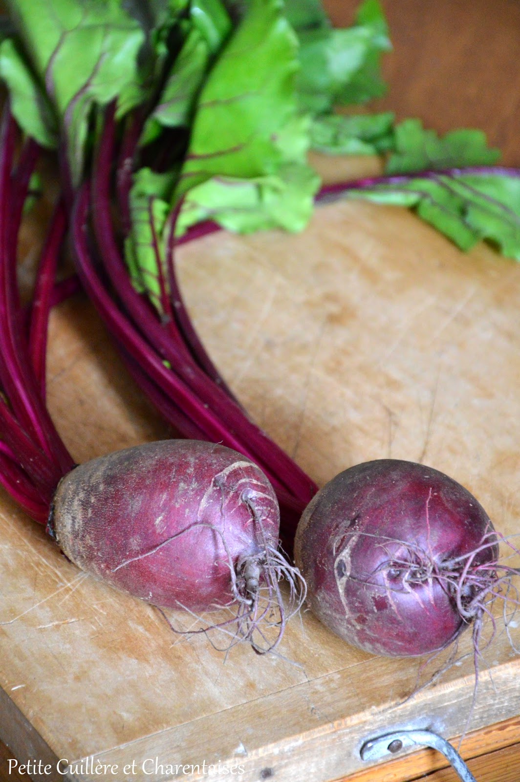 Petite Cuillère et Charentaises: Les Dolmadakia qui venaient du froid ...