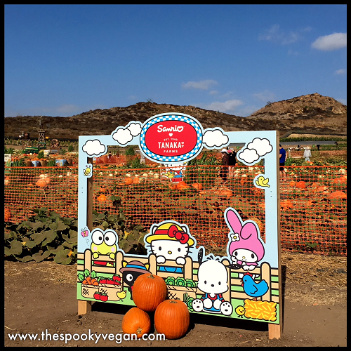 The Spooky Vegan: Sanrio Pumpkin Patch at Tanaka Farms