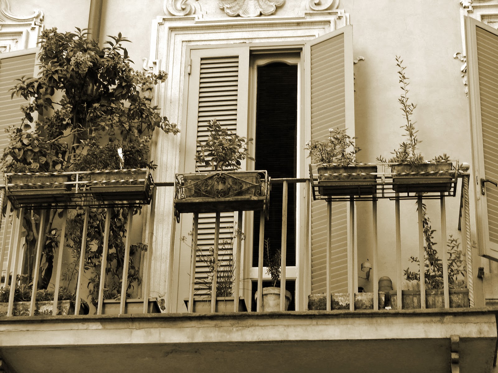Bella, Roma!: BALCONES DE ROMA...