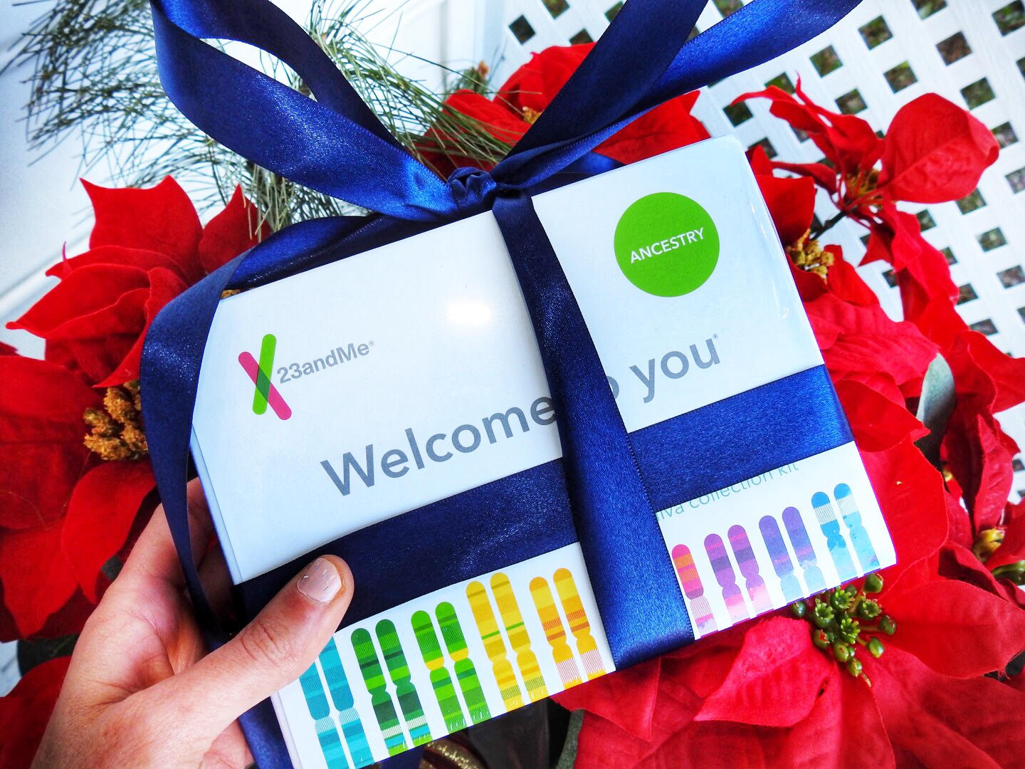 Ancestry & The Gingerbread Man: Ft 23andMe — The Yellow Spectacles