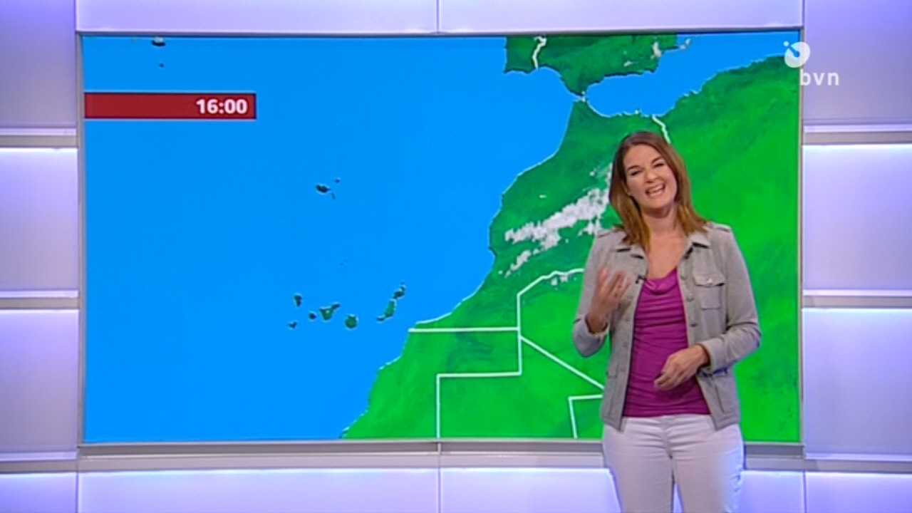 Bekende Nederlandse TV vrouwen: Willemijn Hoebert NOS journaal TV weervrouw
