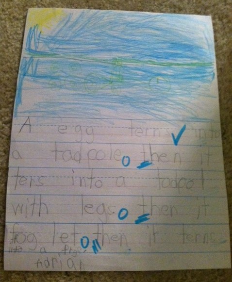 First Grade Fabulous Fish: Writing