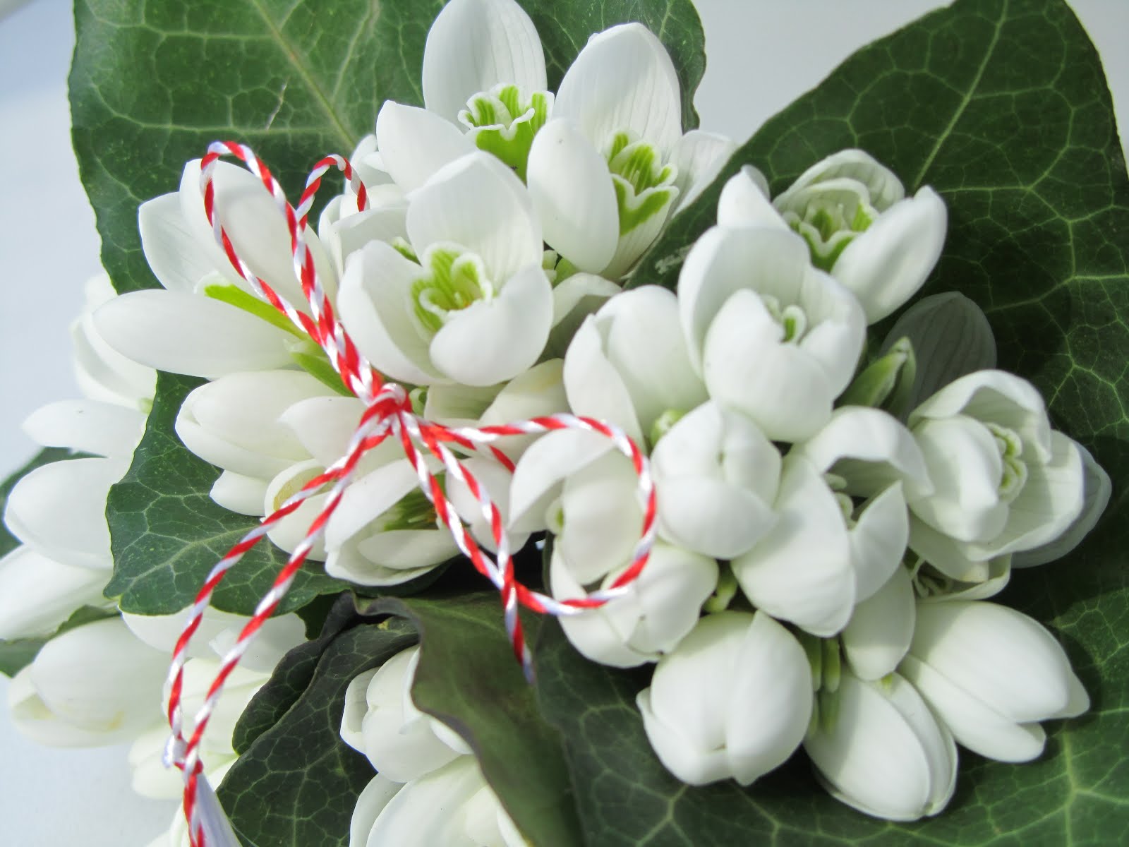 Viseaza...: 1 Martie