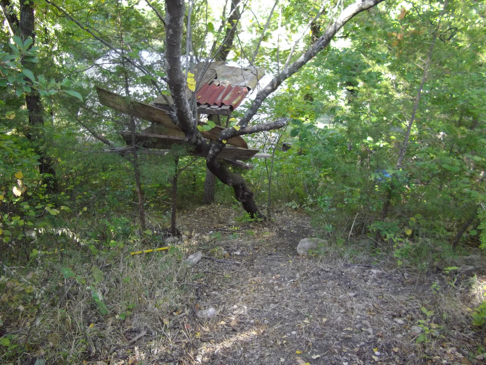 Survivor101Guys: Tree Fort