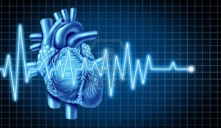 TAREA DE CARDIO : TAREA DE CARDIO 2