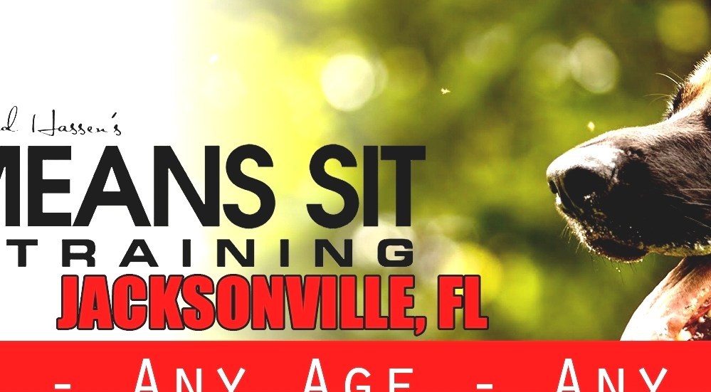 Sit Means Sit - Sit Means Sit Dog Training