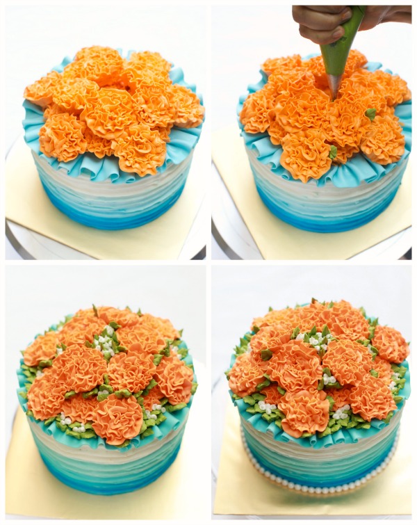 Bunga Carnation - masam manis