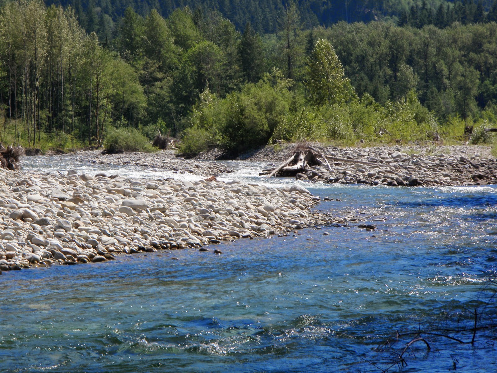 Our Washington Adventure: Jared's Exploration Day -- Beckler Road