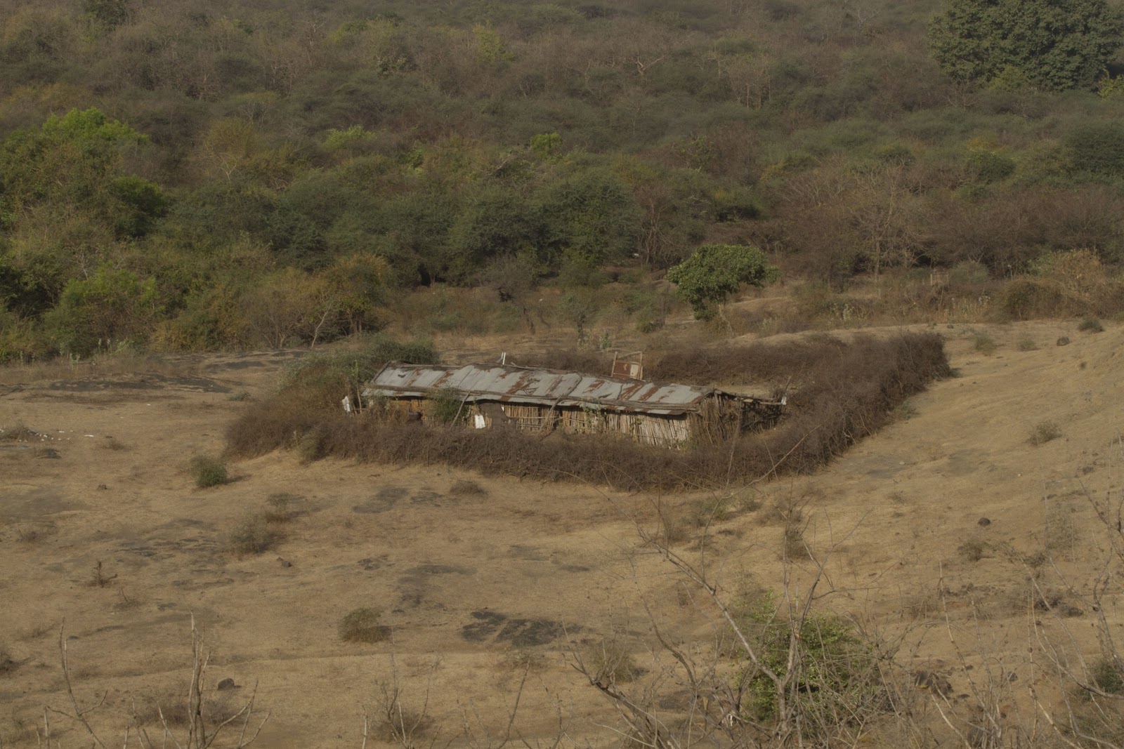 Maldhari - JungleKey.in Image