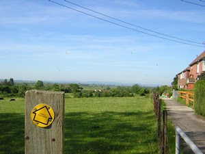 The Pub Walker: The George Inn, Middlezoy, Somerset - A Traditional ...
