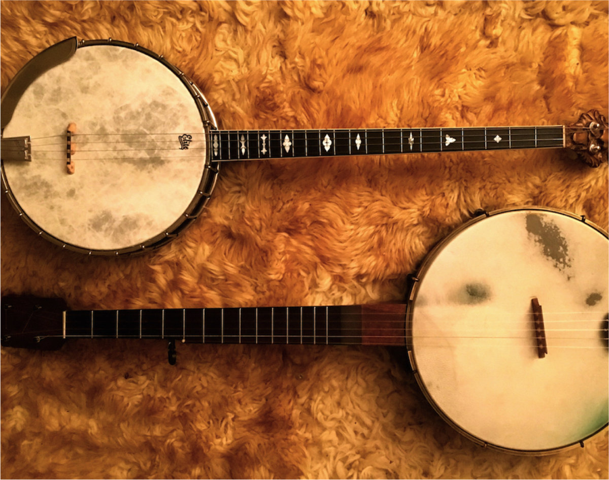 The Bluegrass Ireland Blog: Duets : a unique banjo combination