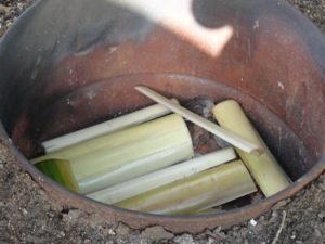 The Freewheelin' Ryan & Abby: Sundays In Tonga