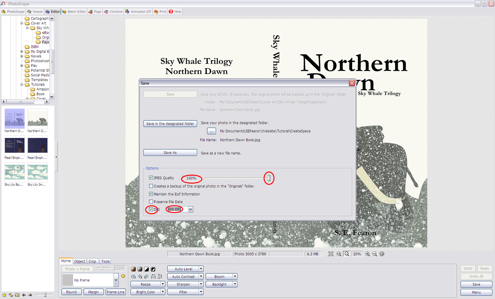 How to create a book cover using free photo editing software | S. E. Fearon