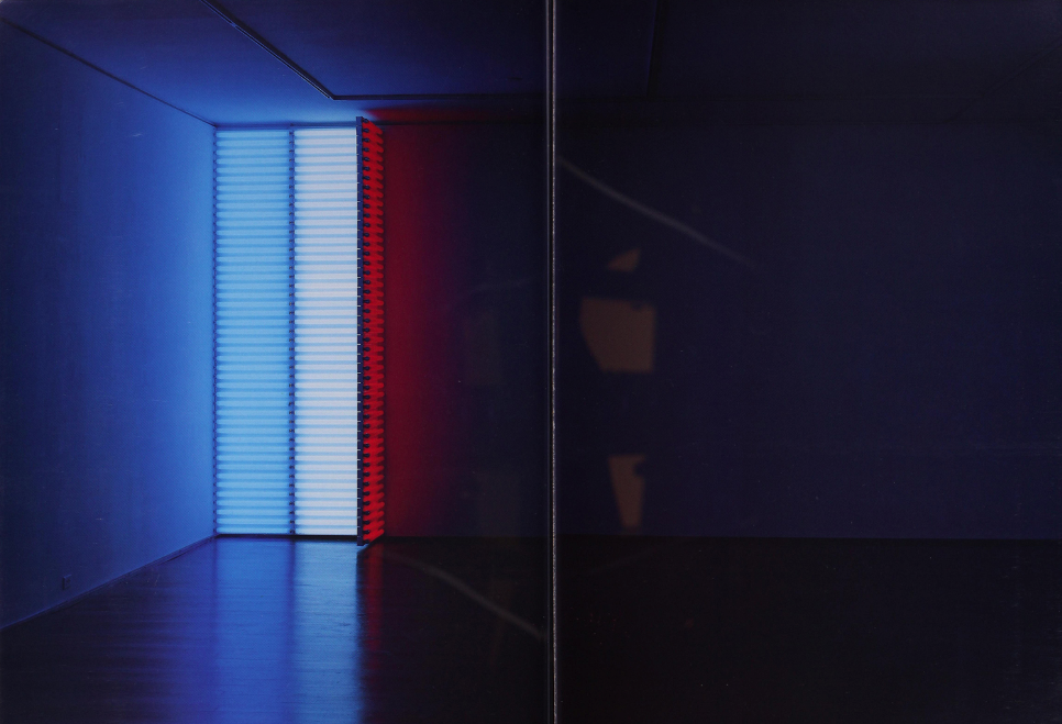 These Fields: Dan Flavin, 1989/86