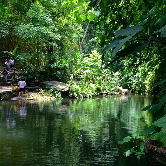 Mi Blog: Furesa Adventure